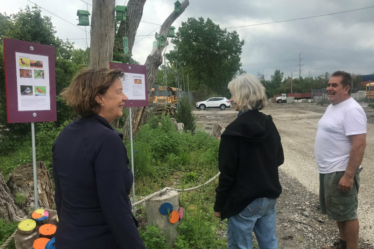 The Bird Habitat to Level 2 - Gaia Movement USA